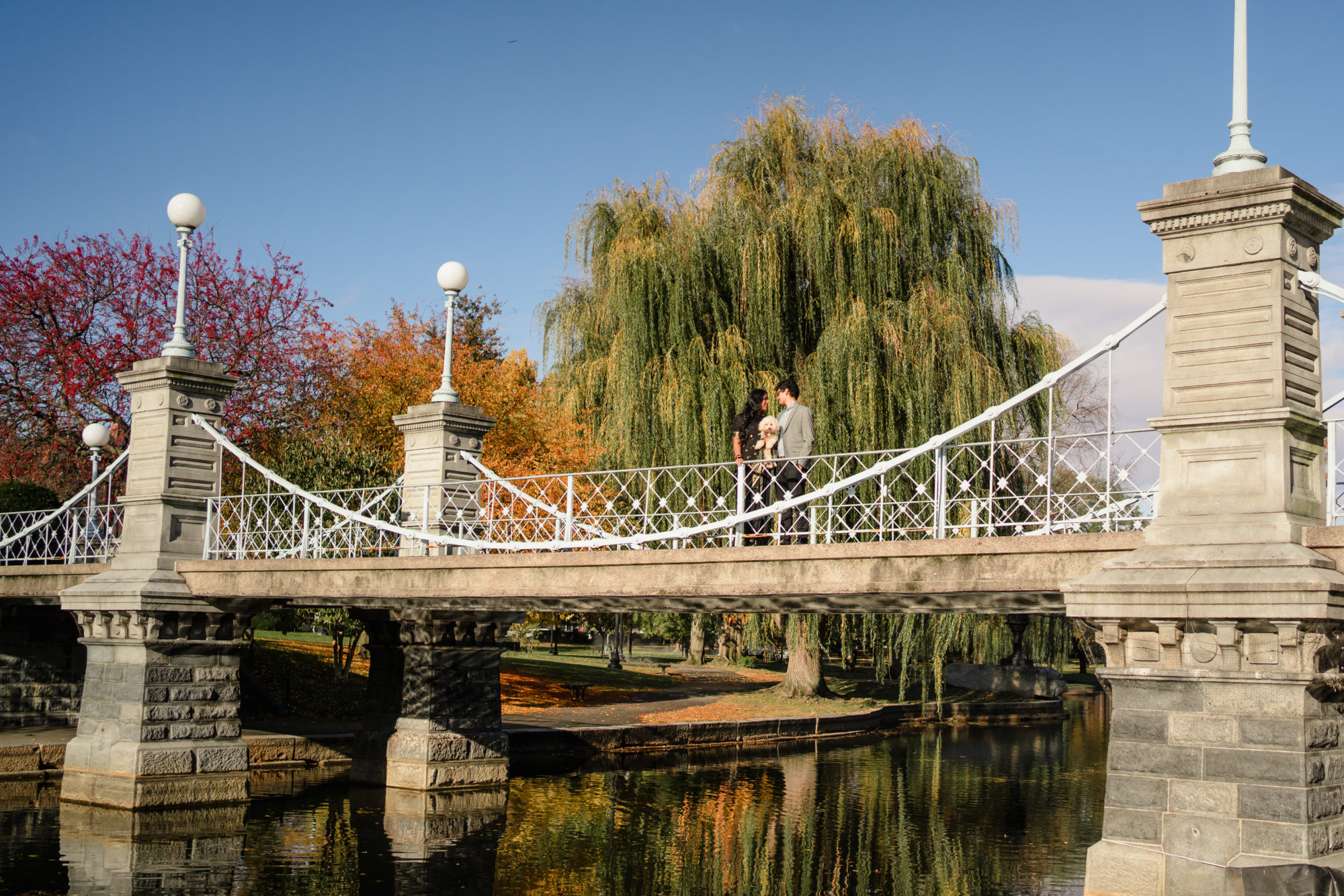 Boston Common & Boston Public Gardens Photos - Nicole Chan Photo & Video